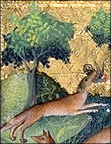 Fox running with a rooster in his mouth.